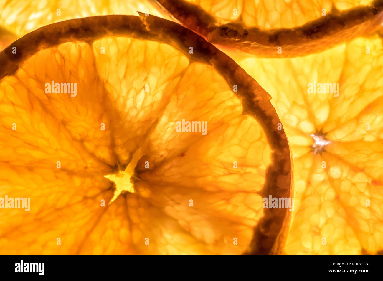 macro details of slices of orange in backlight Stock Photo - Alamy