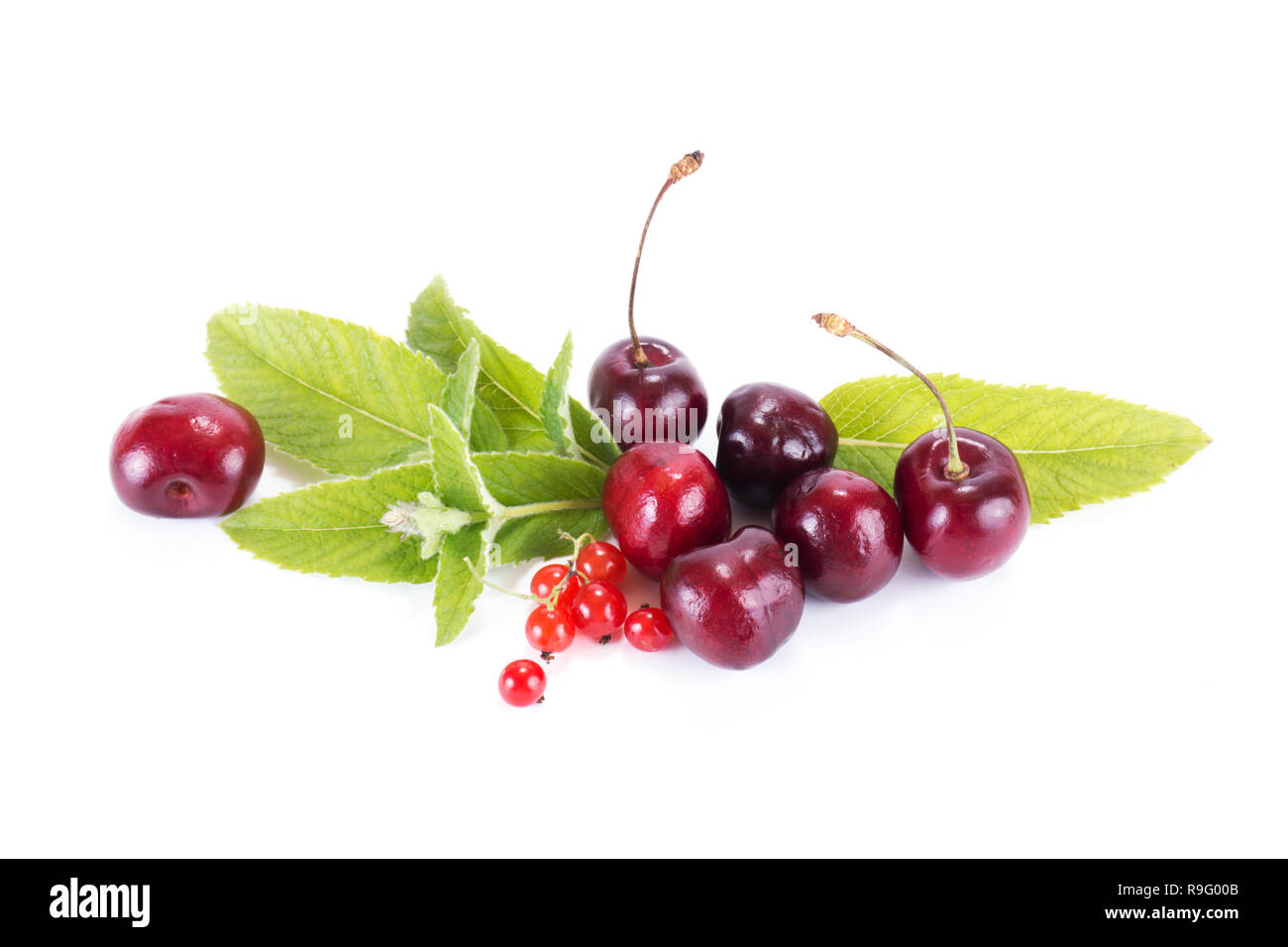 Berries cherry and mint leaves isolated on white background Stock Photo ...