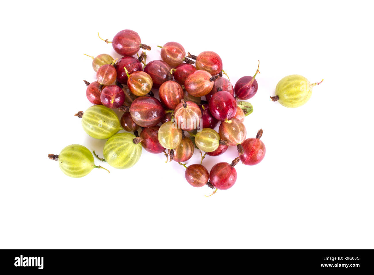 Ripe berry of gooseberry it is isolated on a white background Stock ...