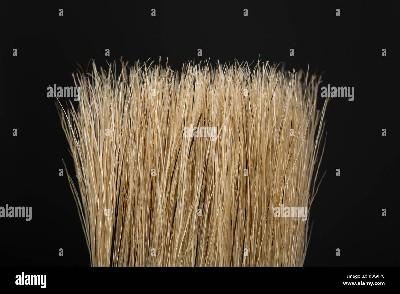 Paint Brush Bristle Texture