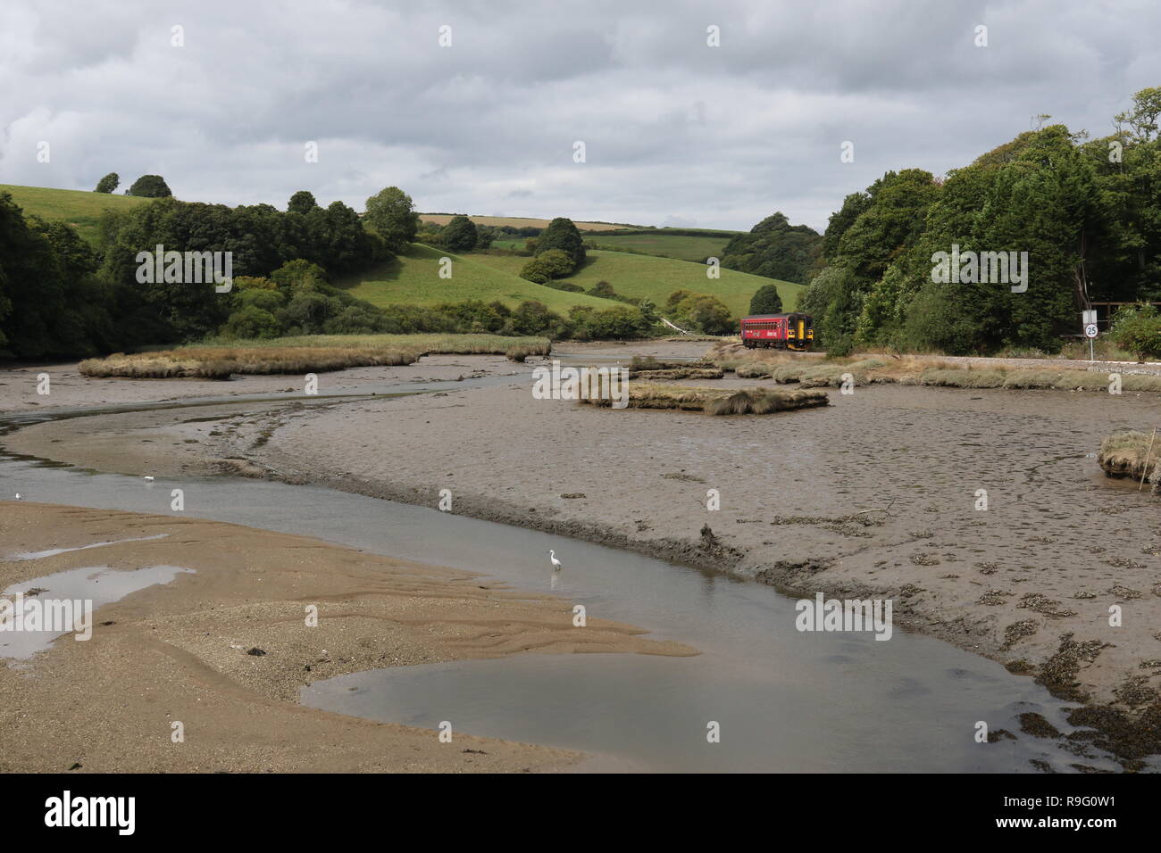 Looe valley line hi-res stock photography and images - Alamy