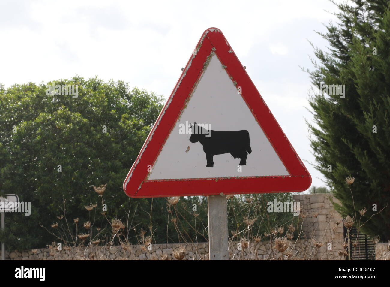Cow sign hi-res stock photography and images - Alamy