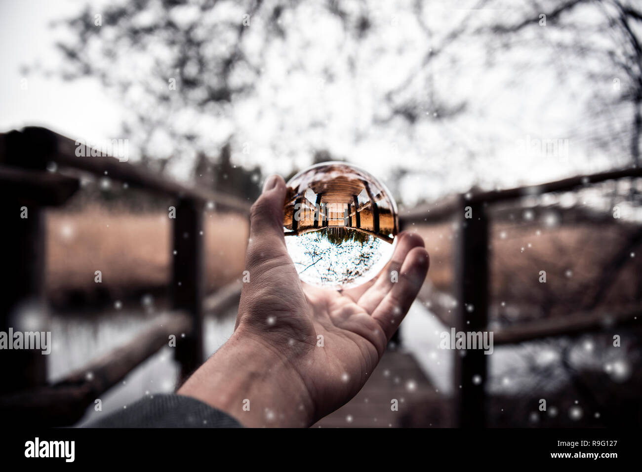 Snowy glas reflection in nature Stock Photo - Alamy