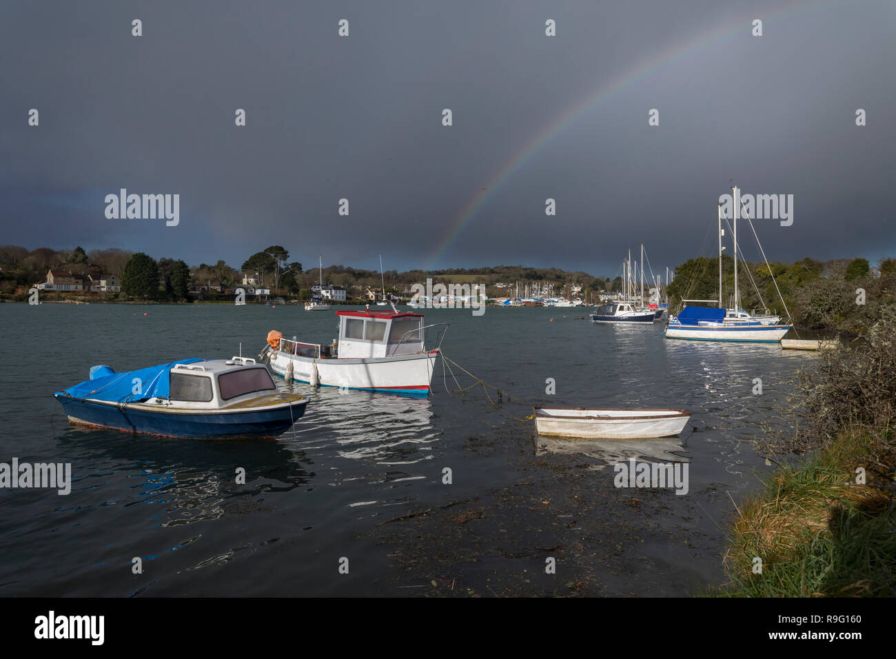 Mylor Creek; River Fal; Cornwall; UK Stock Photo - Alamy