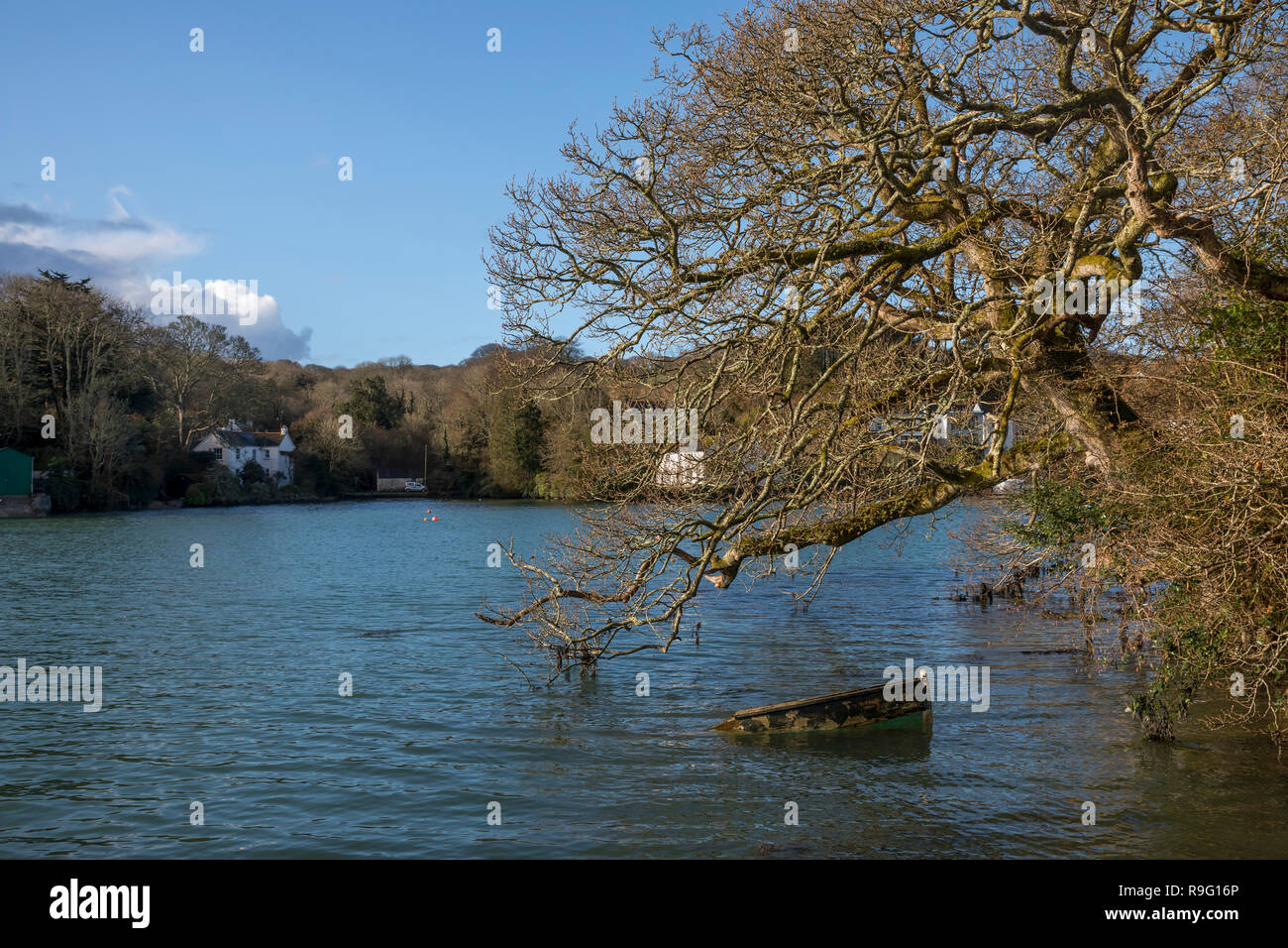 Mylor Creek; River Fal; Cornwall; UK Stock Photo - Alamy
