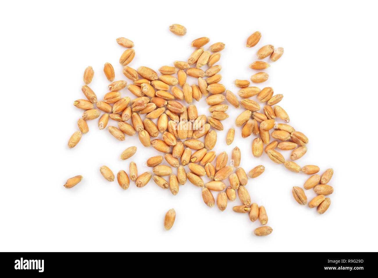 Wheat top view Cut Out Stock Images & Pictures - Alamy