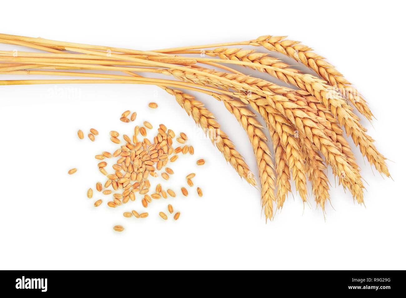 grain and ears of wheat isolated on white background. Top view Stock ...