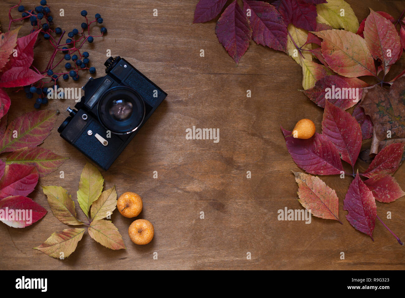 Vintage Camera Frame High Resolution Stock Photography and Images - Alamy