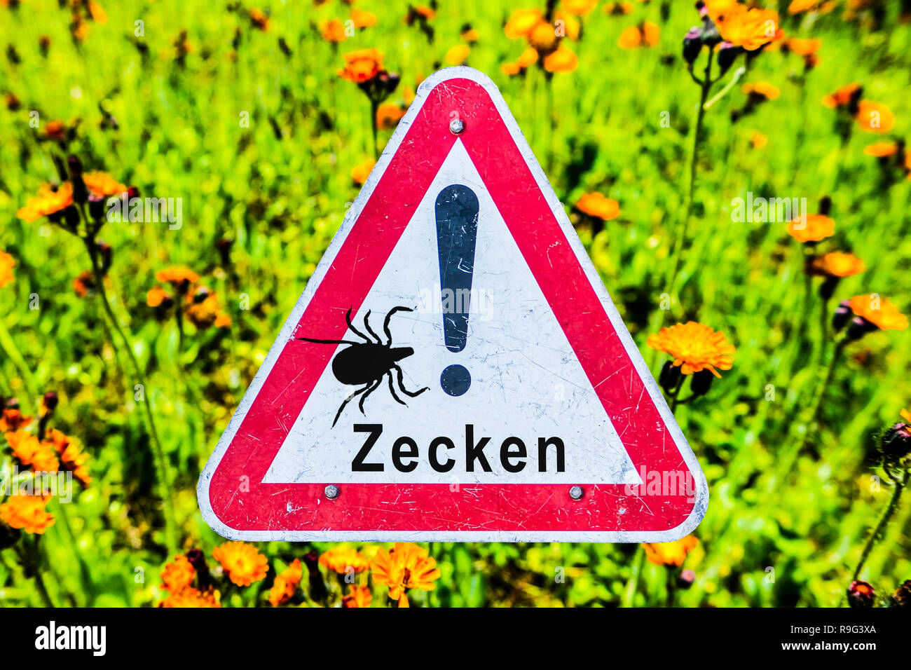 Tick risk area hi-res stock photography and images - Alamy
