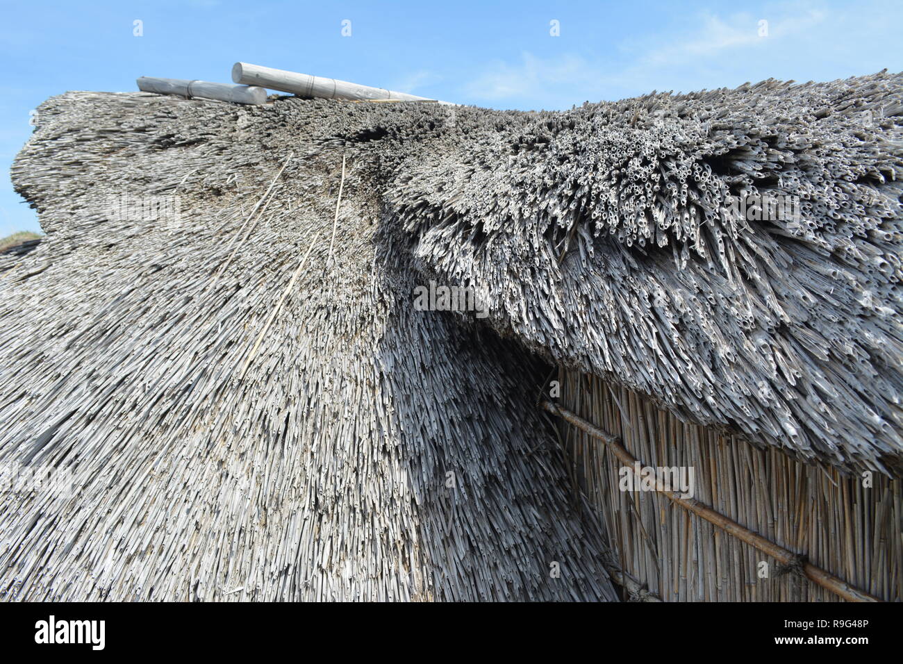 Jomon pit house hi-res stock photography and images - Alamy