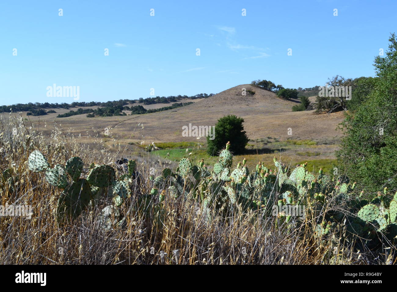 Authentic southern California landscape of Santa Rosa Plateau ...