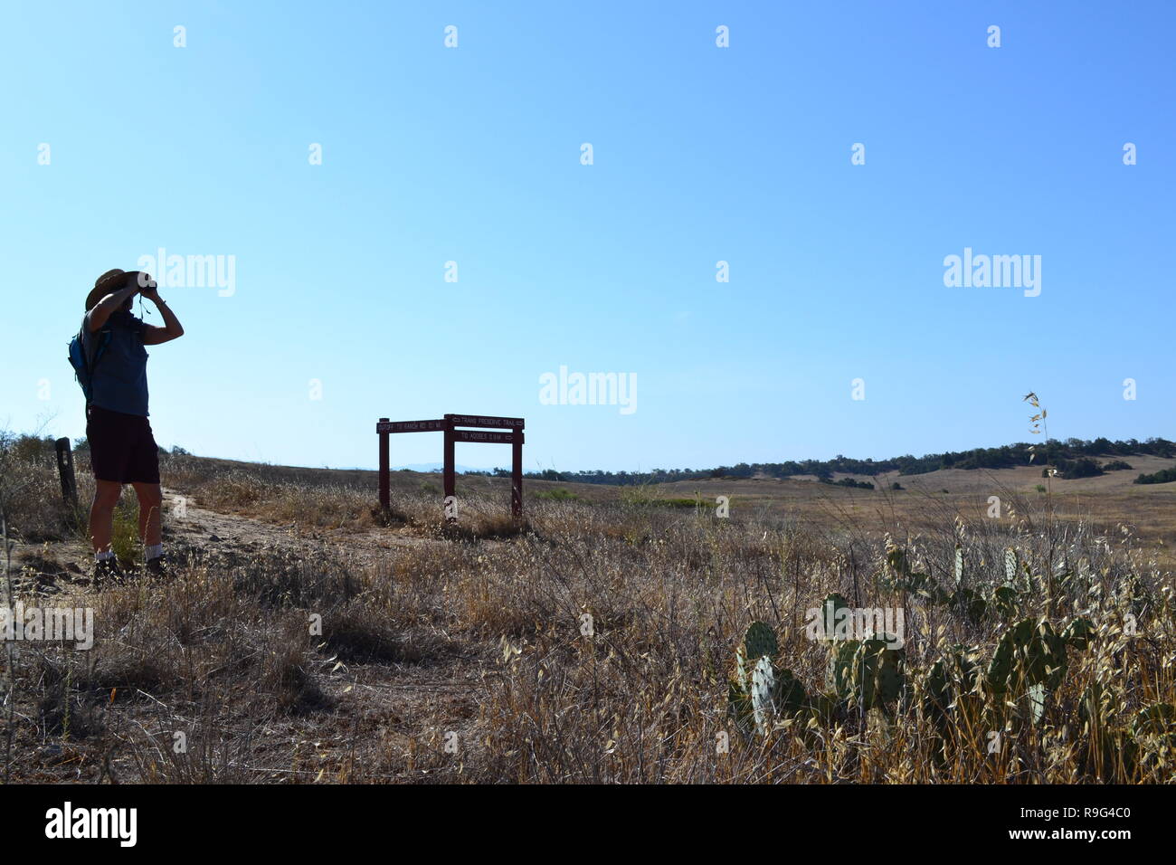 Silhouette of a female birdwatcher with binoculars in the Santa Rosa ...
