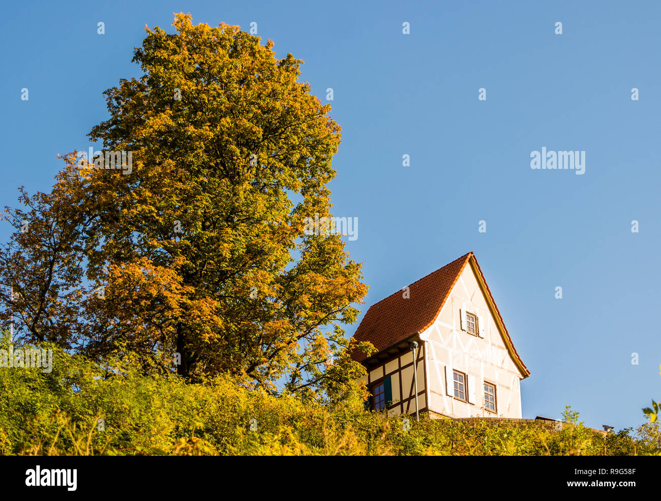 Konigsberg castle hi-res stock photography and images - Alamy