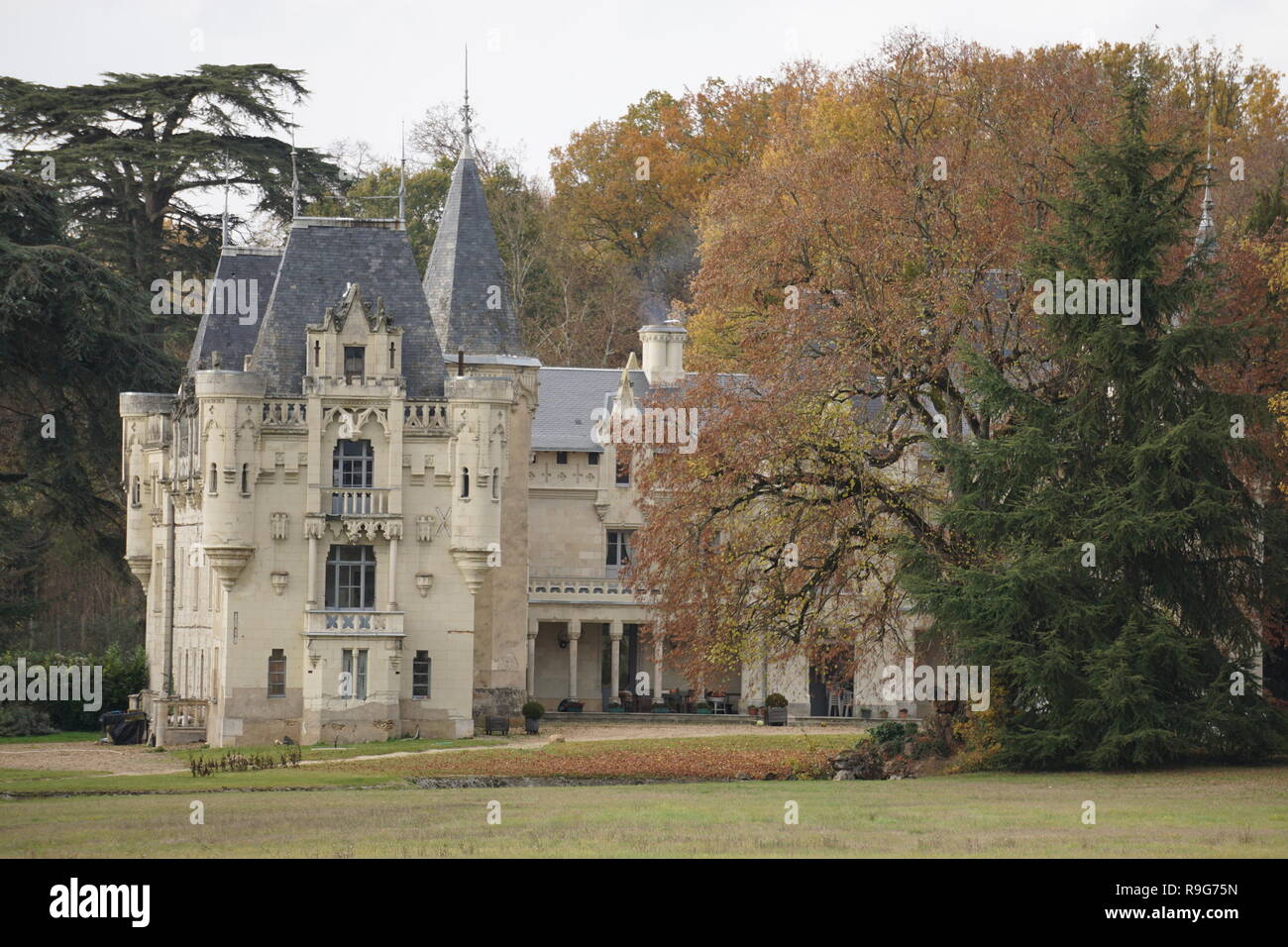 Beautiful remodeled old limestone castle in the park in the Loire ...