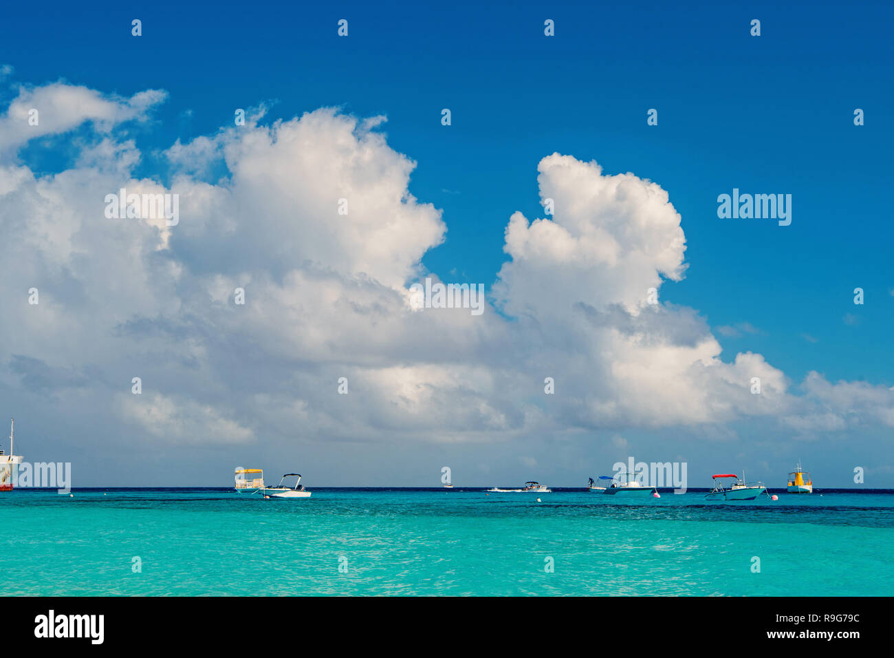 Turks caicos ecology hi-res stock photography and images - Alamy