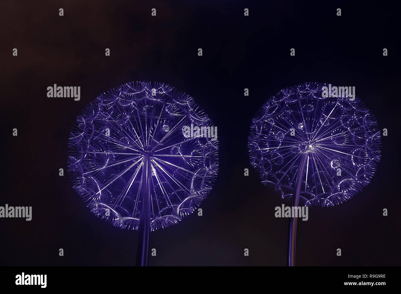 Dandelion lights in Dubai, United Arab Emirates at night. Installation ...