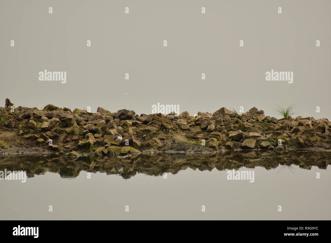 Small bricks hi-res stock photography and images - Alamy