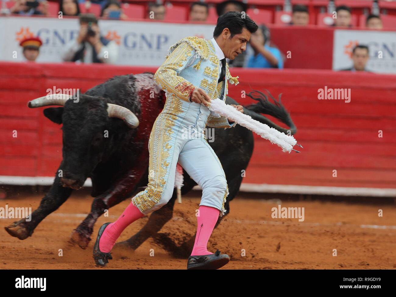 Bullfight In Mexico City Bull Stock Photos & Bullfight In Mexico City ...