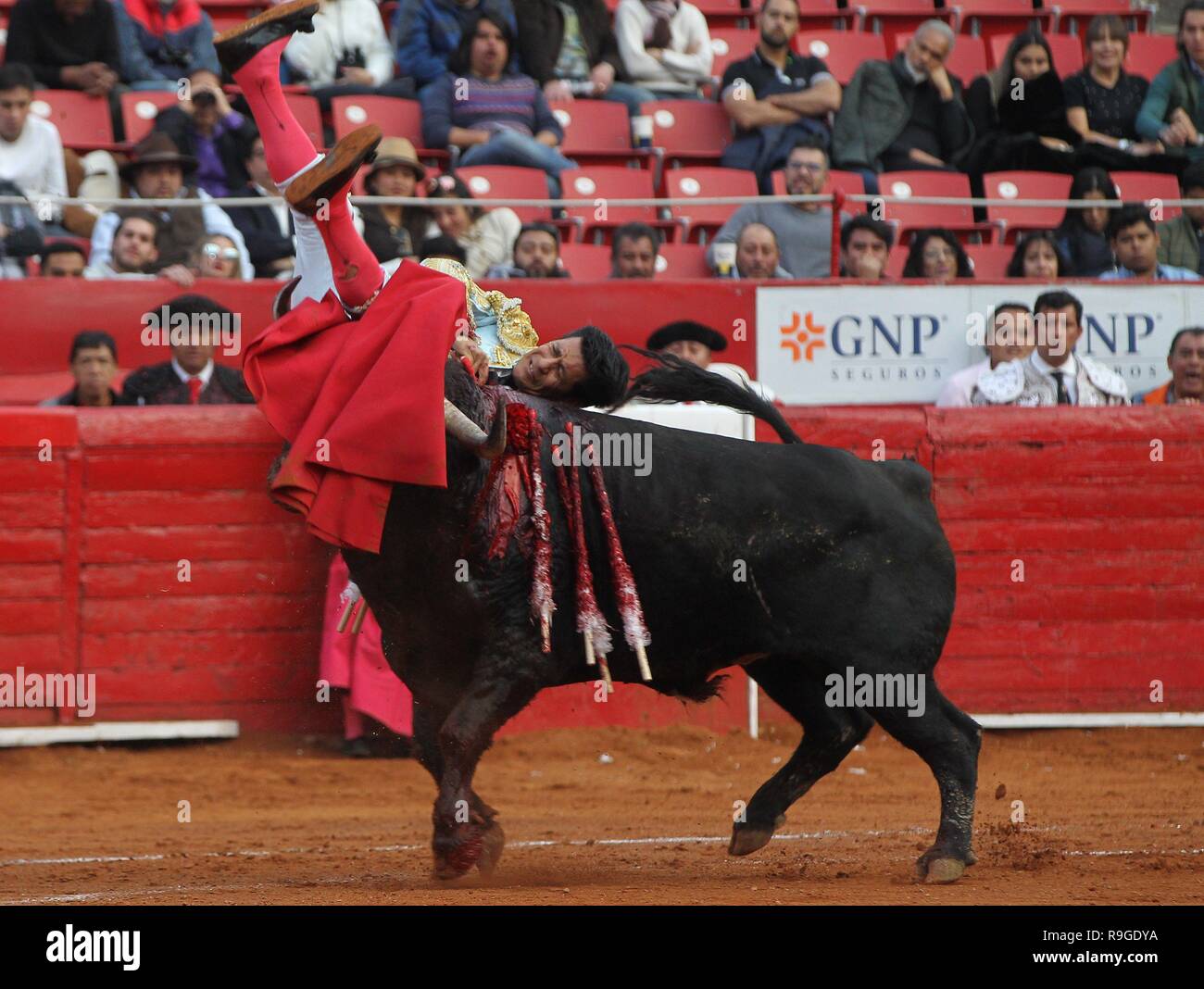 Bullfight In Mexico City Bull Stock Photos & Bullfight In Mexico City ...