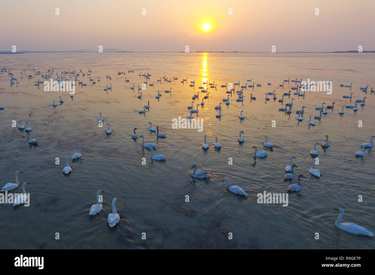Shijiu lake hi-res stock photography and images - Alamy