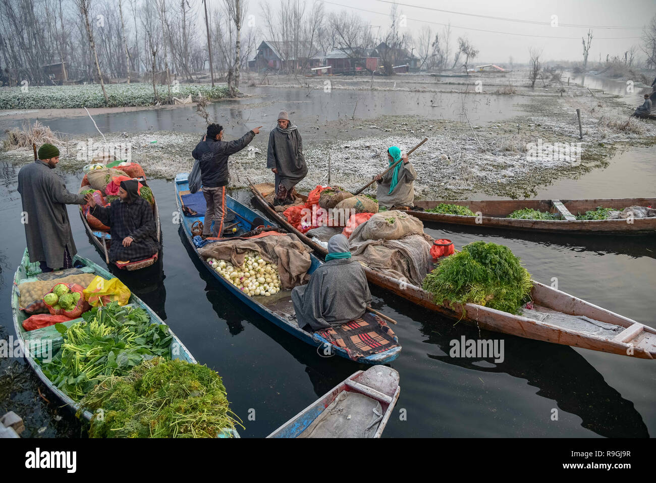 Floating market at dawn on dal lake, hi-res stock photography and ...