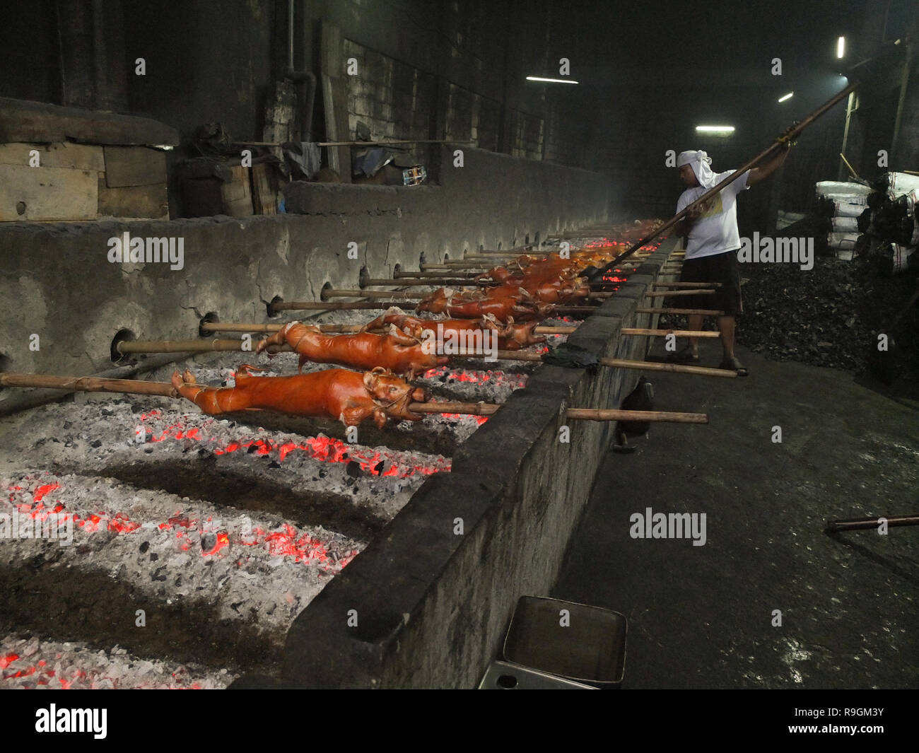 A lechonero greasing the suckling pigs with oil, to make it's skin more ...