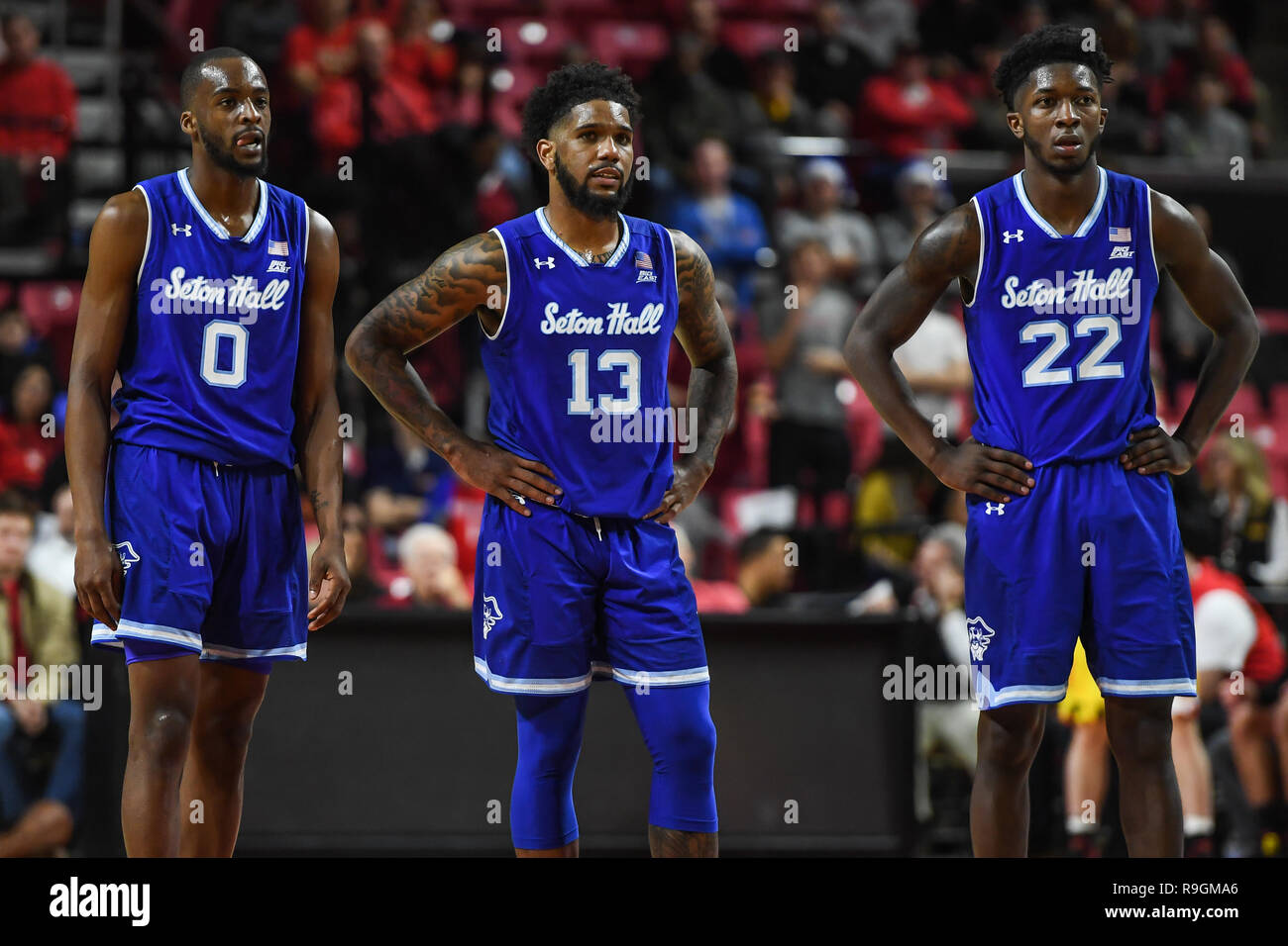 Myles cale hi-res stock photography and images - Alamy