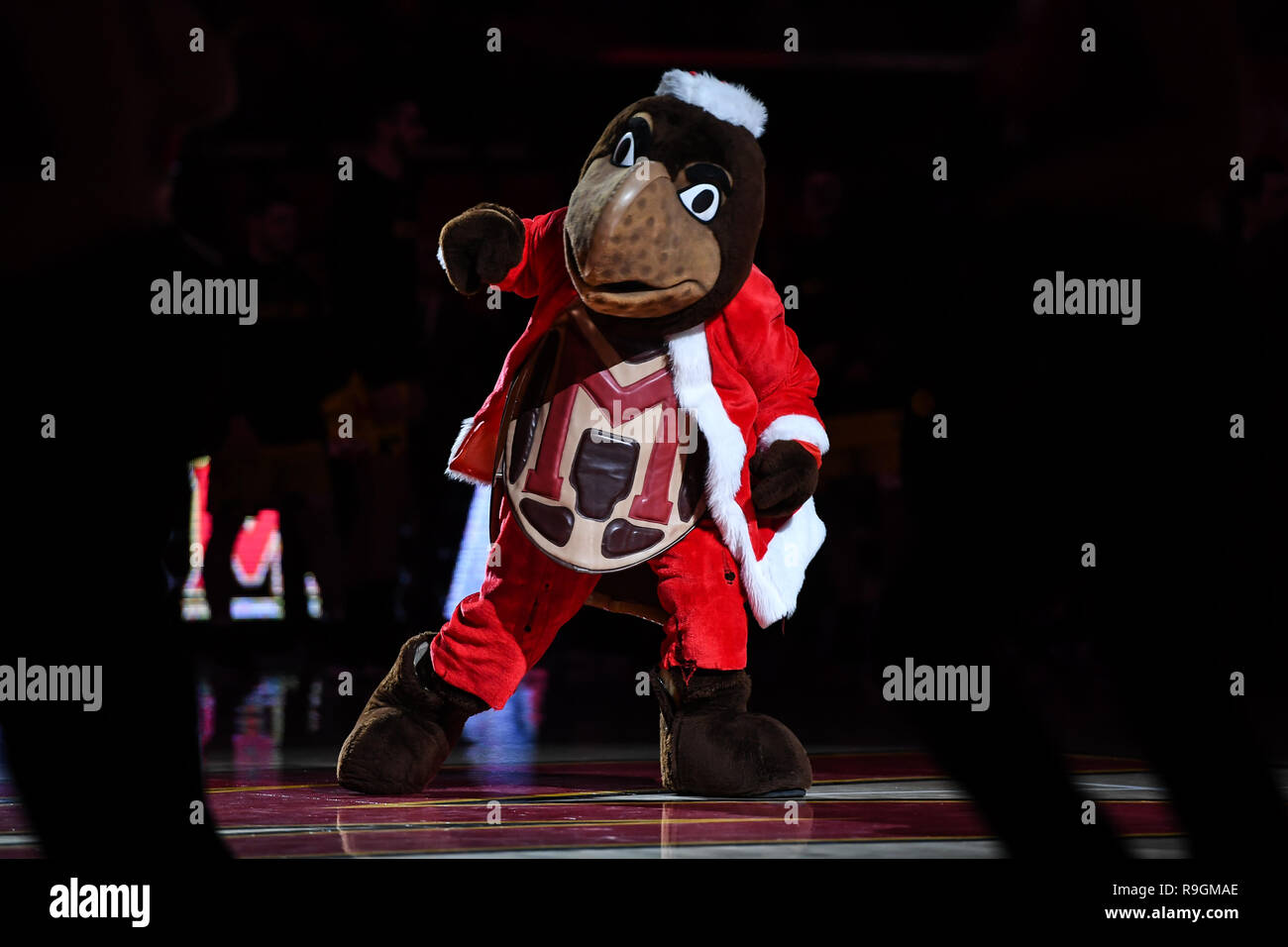 University of maryland mascot hi-res stock photography and images - Alamy