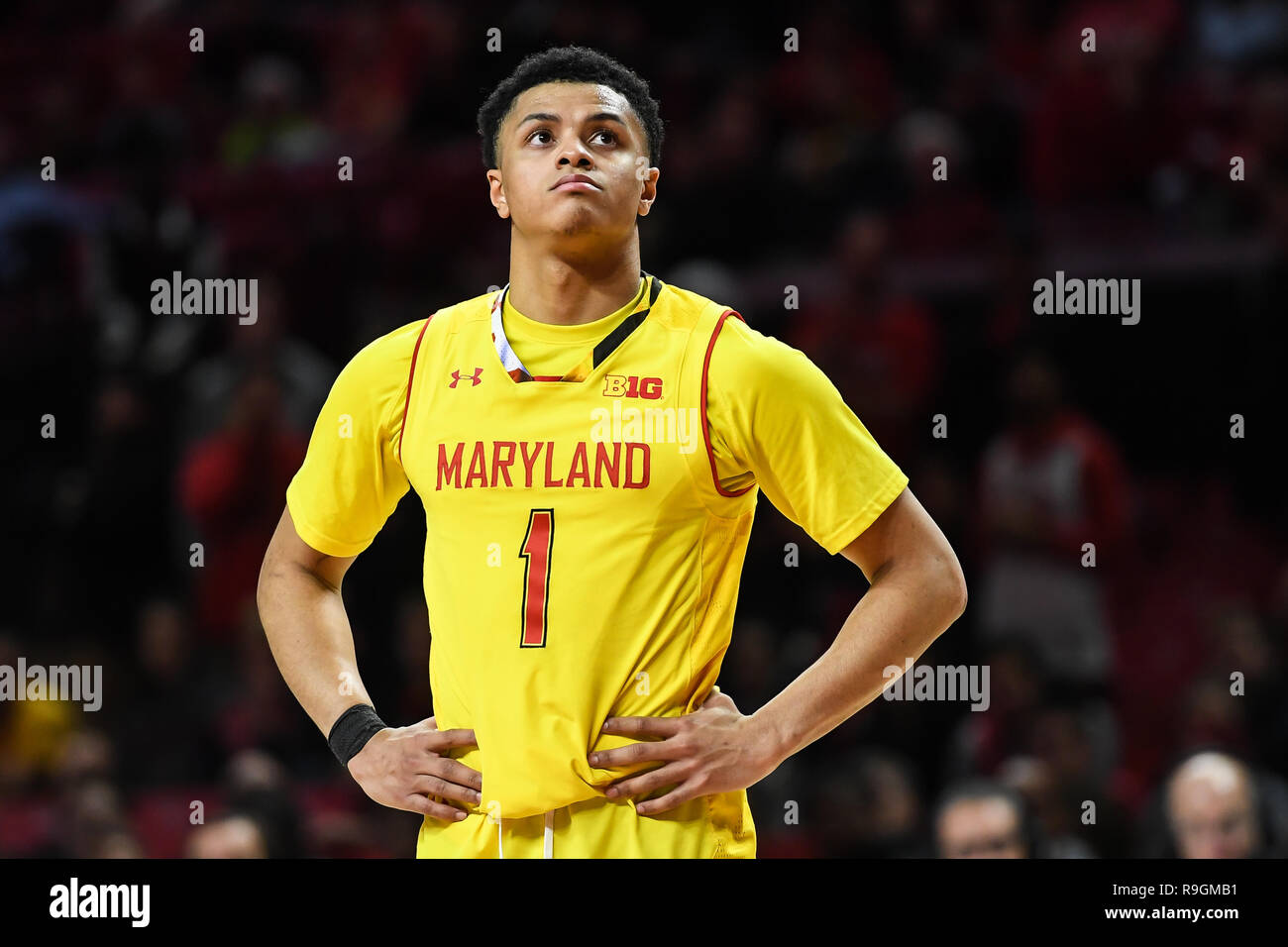 Anthony cowan hi-res stock photography and images - Alamy