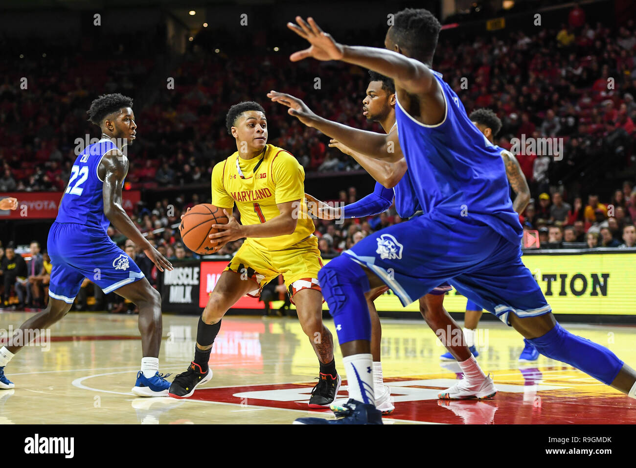 Anthony cowan hi-res stock photography and images - Alamy