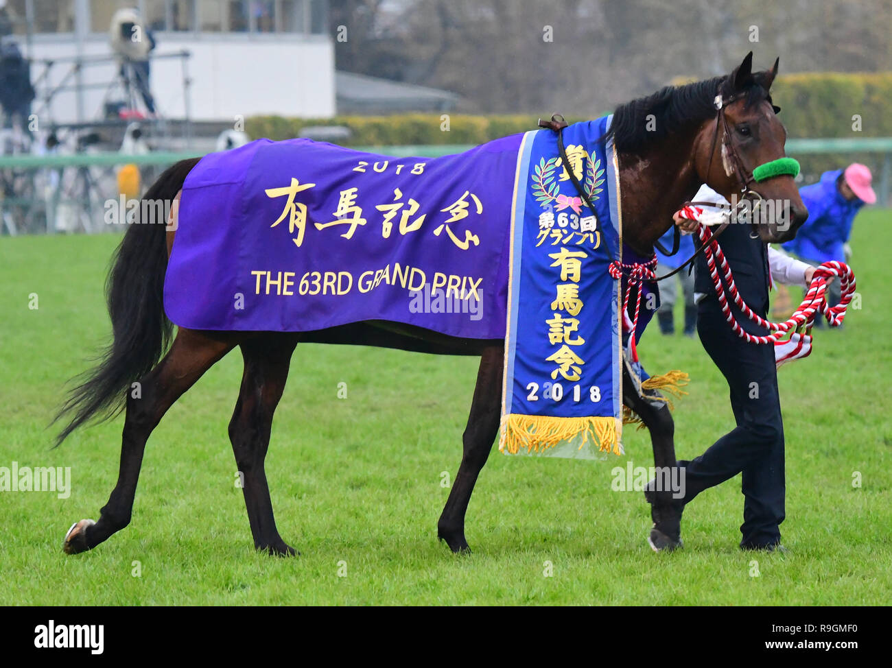 Funabashi, Chiba, Japan. 23rd Dec, 2018. Blast Onepiece Horse Racing ...