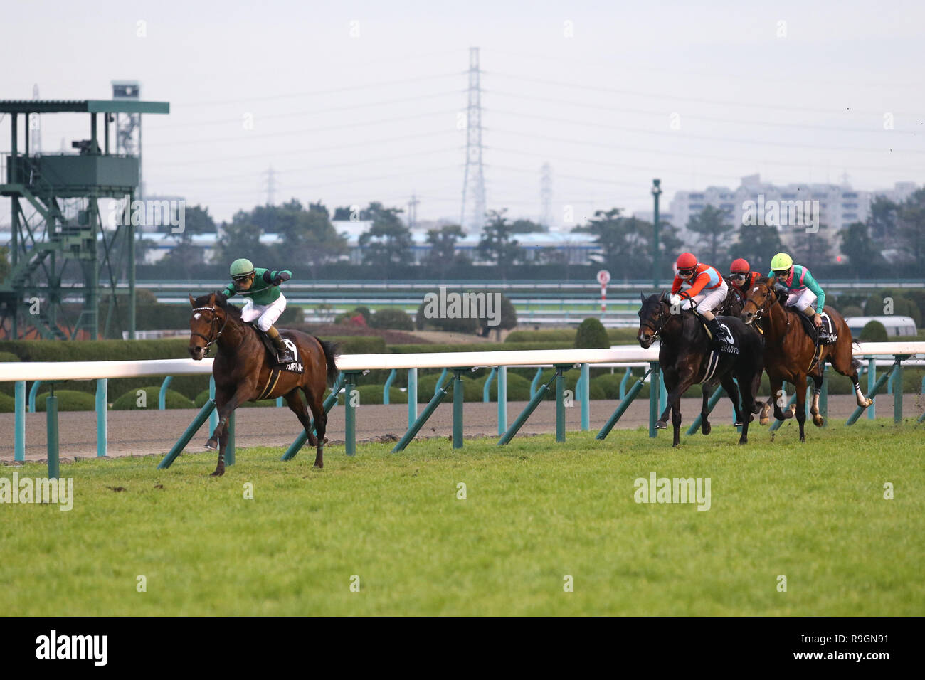 O k horse hi-res stock photography and images - Alamy