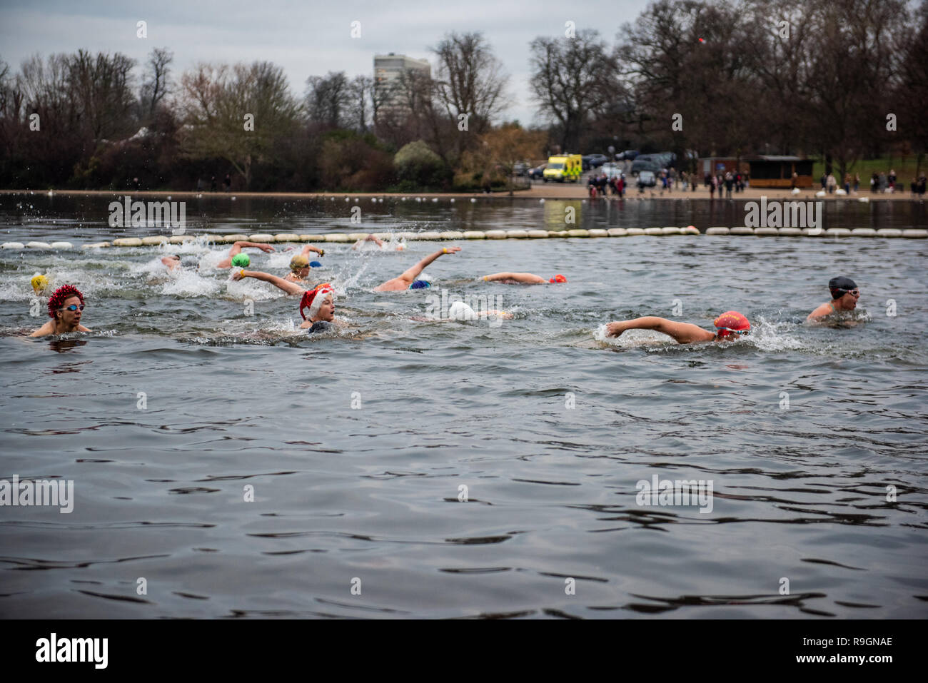 Speedo swim hi-res stock photography and images - Alamy