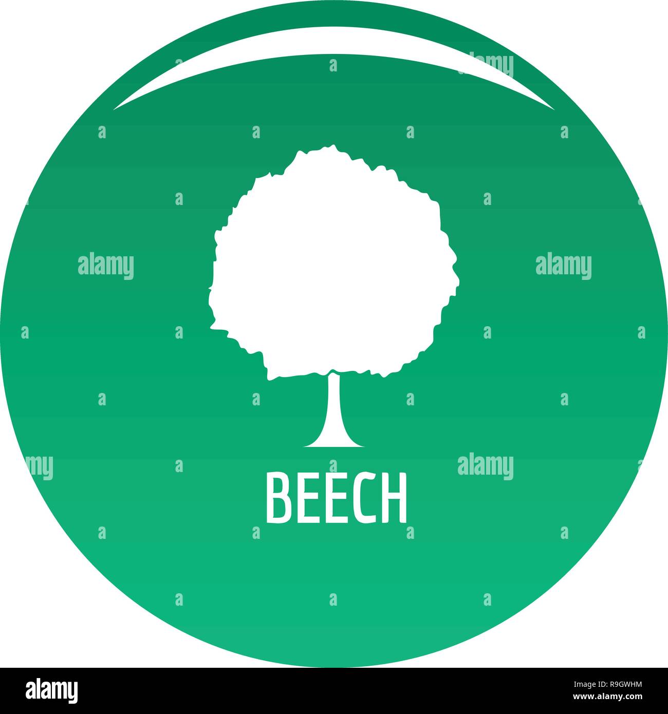 Bonsai sycamore tree hi-res stock photography and images - Alamy