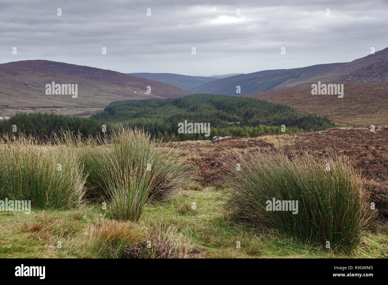 Typical irish landscape hi-res stock photography and images - Alamy
