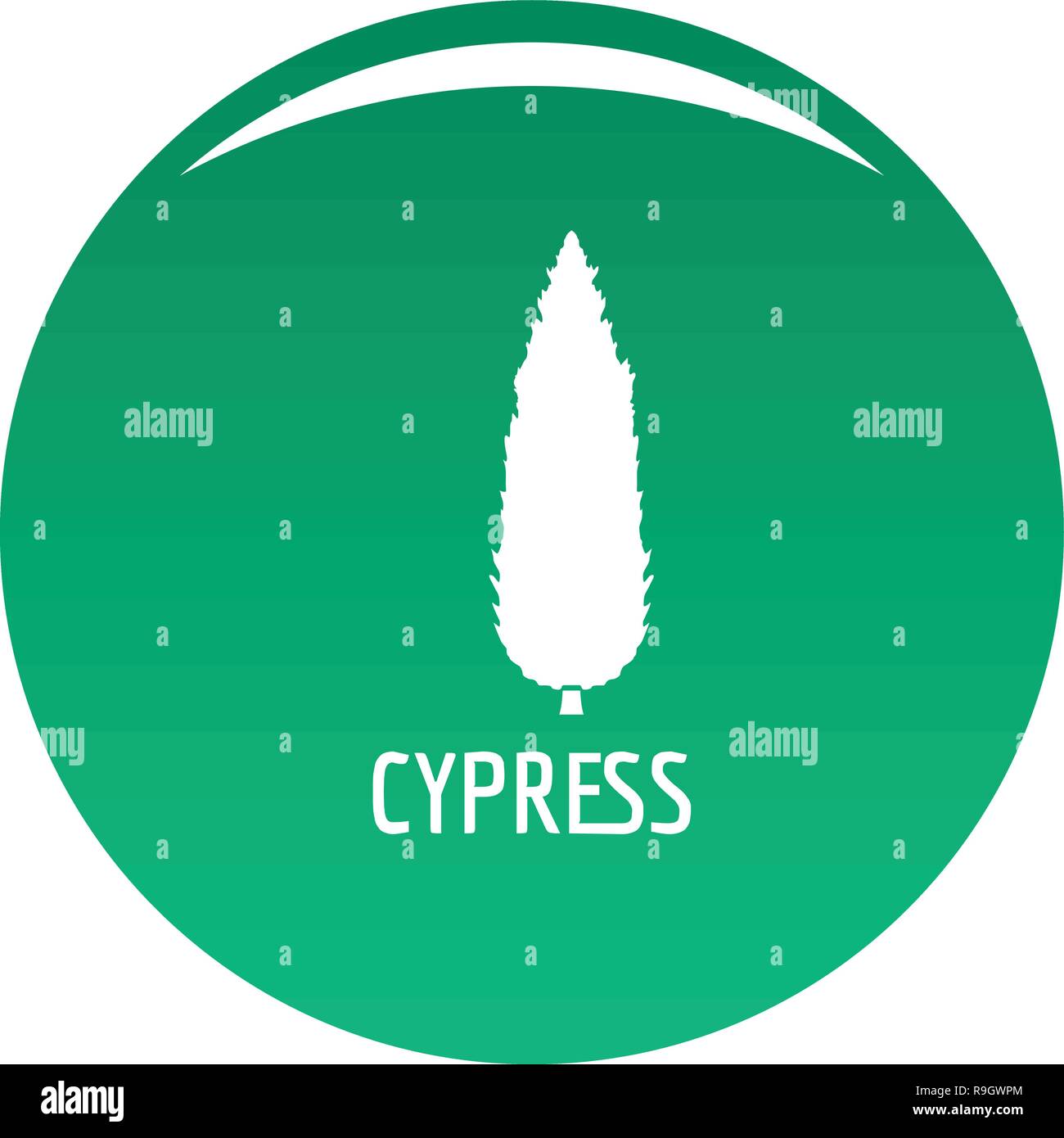 Cypress tree icon. Simple illustration of cypress tree vector icon for ...