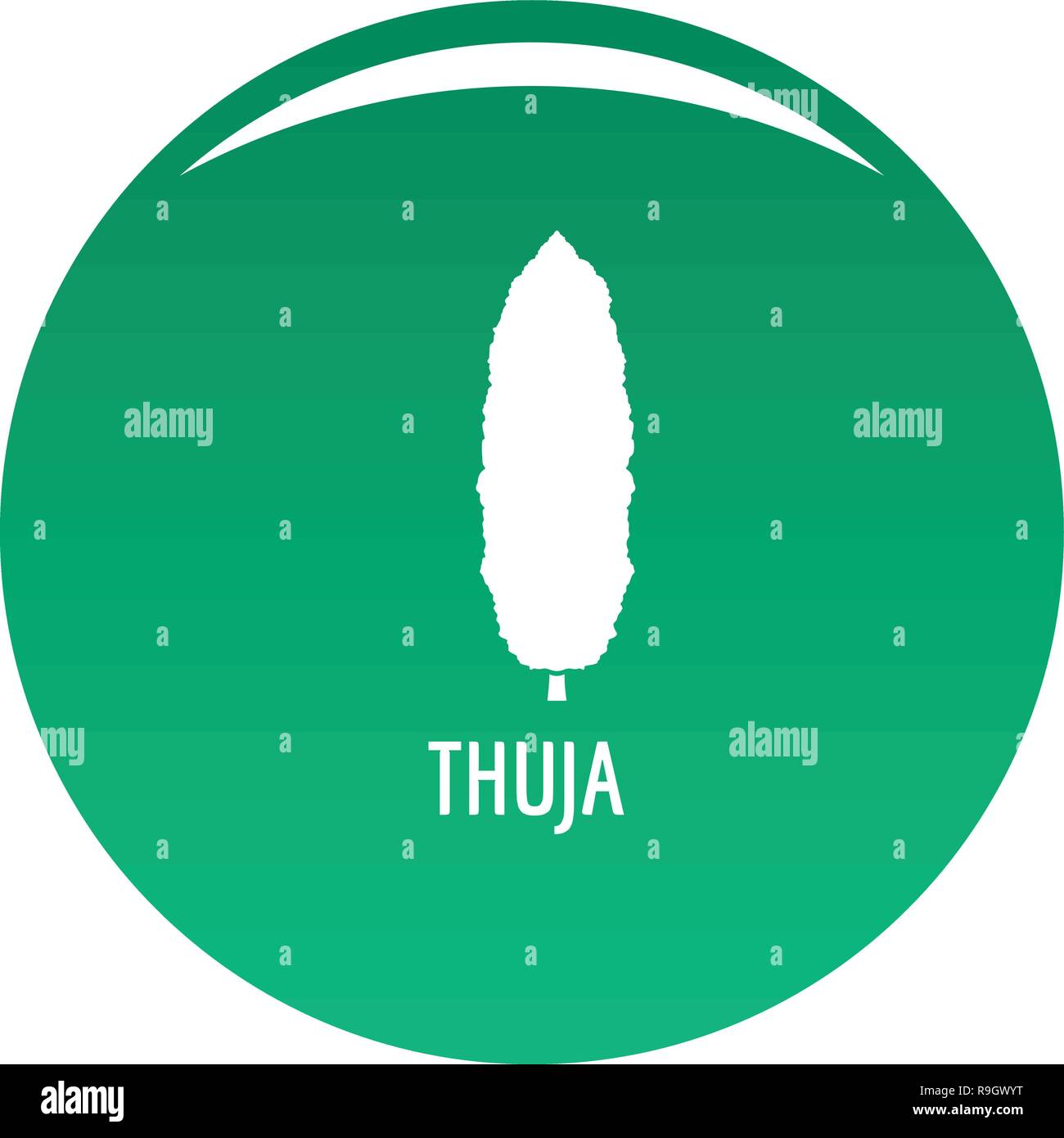 Thuja tree icon. Simple illustration of thuja tree vector icon for any ...