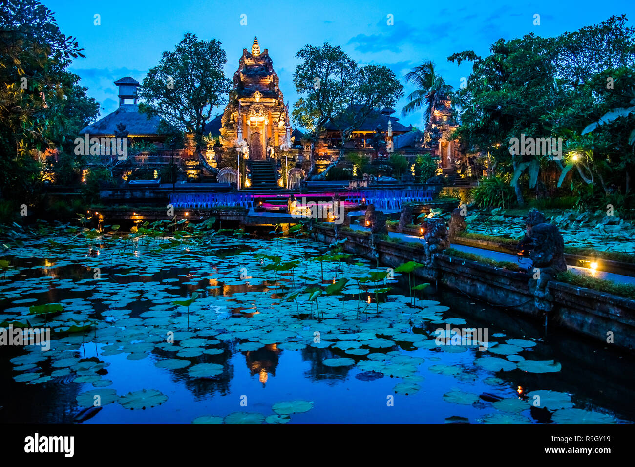 Evening atmosfere iof the Pura Saraswati Temple with beatiful lotus ...
