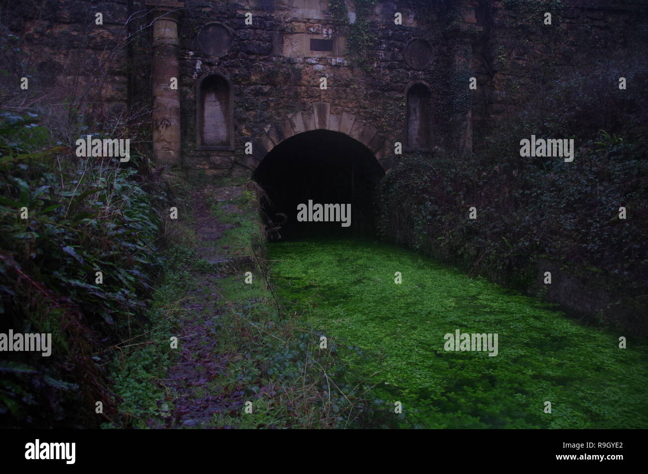 Thames and Severn Canal Sapperton Canal Tunnel. The Macmillan Way. Long ...