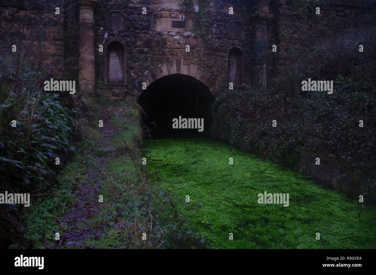 Thames and Severn Canal Sapperton Canal Tunnel. The Macmillan Way. Long ...