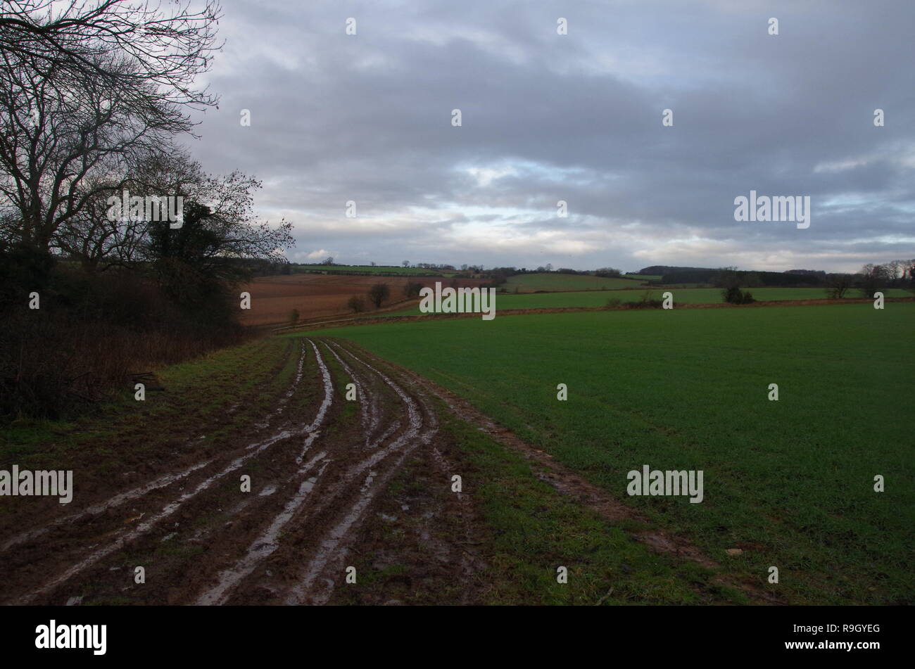 The Macmillan Way. Long-distance trail. Gloucestershire. Cotswolds ...