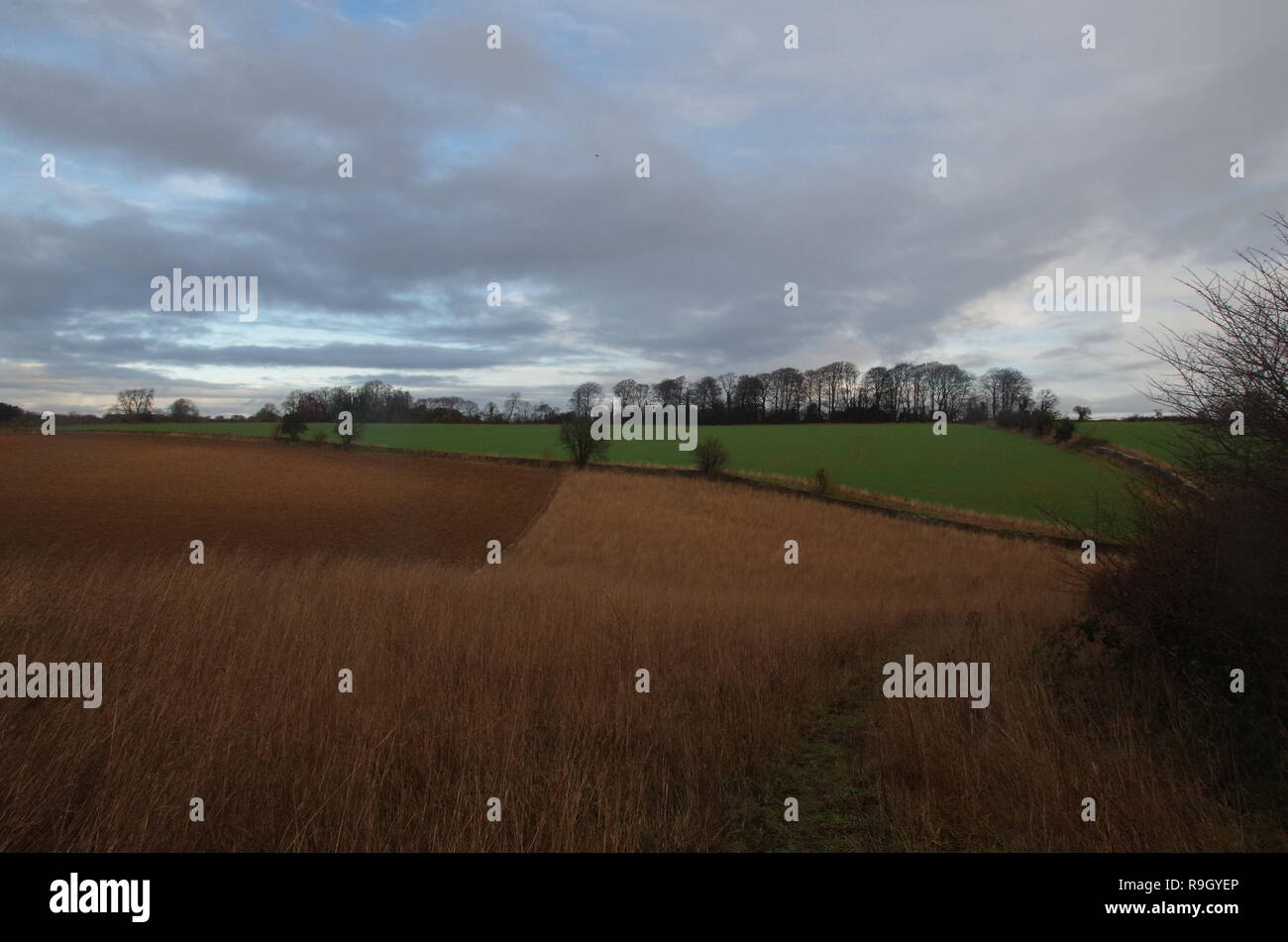 The Macmillan Way. Long-distance trail. Gloucestershire. Cotswolds ...