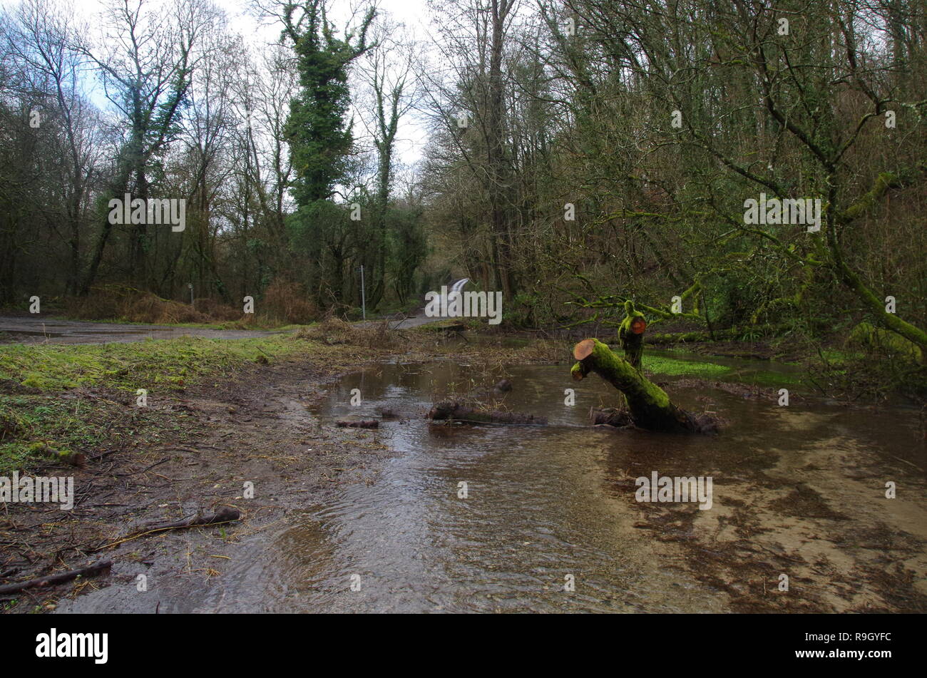 The Macmillan Way. Long-distance trail. Gloucestershire. Cotswolds ...