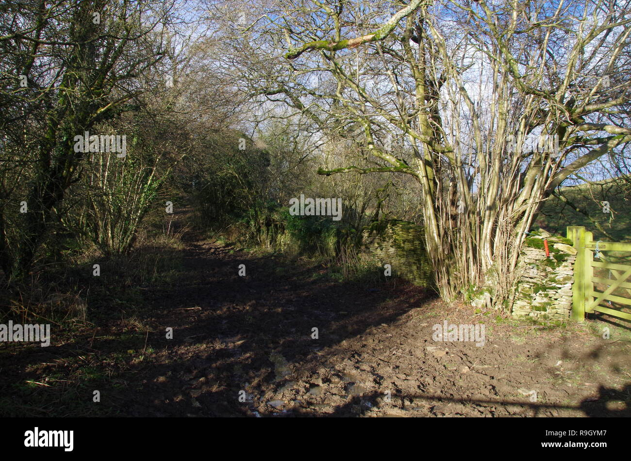 The Macmillan Way. Long-distance trail. Gloucestershire. Cotswolds ...