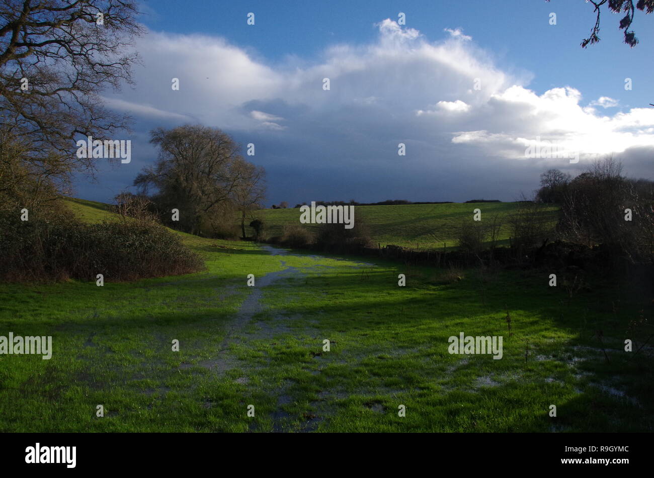 The Macmillan Way. Long-distance trail. Gloucestershire. Cotswolds ...