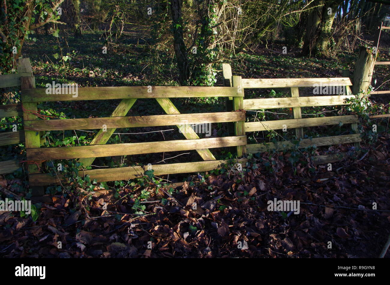 The Macmillan Way. Long-distance trail. Gloucestershire. Cotswolds ...