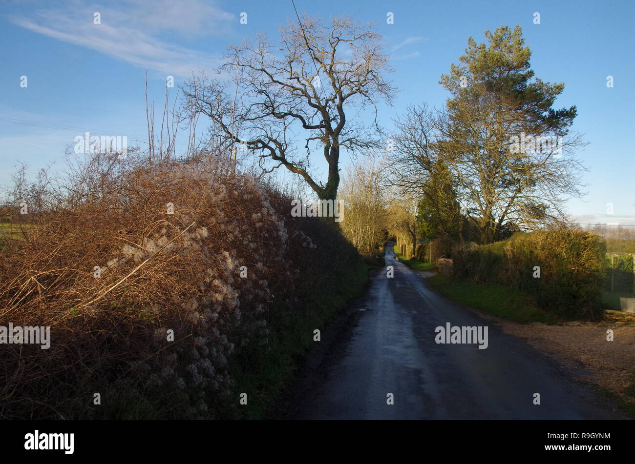 The Macmillan Way. Long-distance trail. Gloucestershire. Cotswolds ...