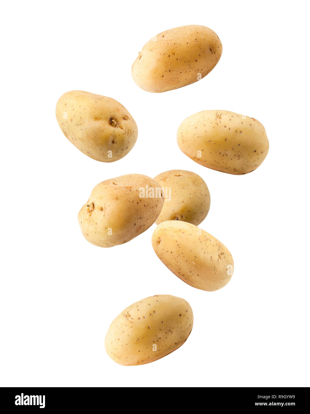 Falling potato, isolated on white background, clipping path, full depth ...