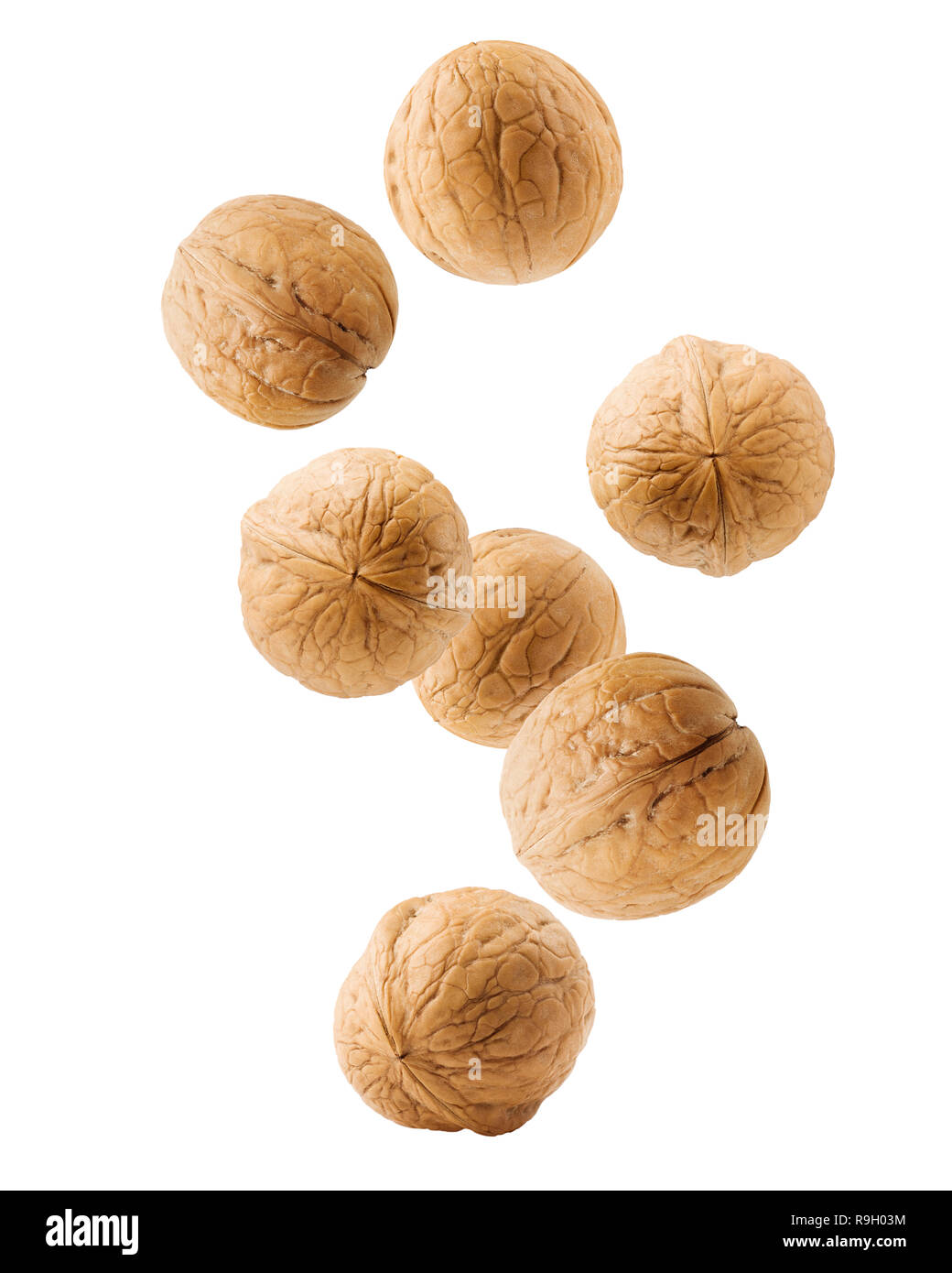 Falling walnut isolated on white background, clipping path, full depth ...