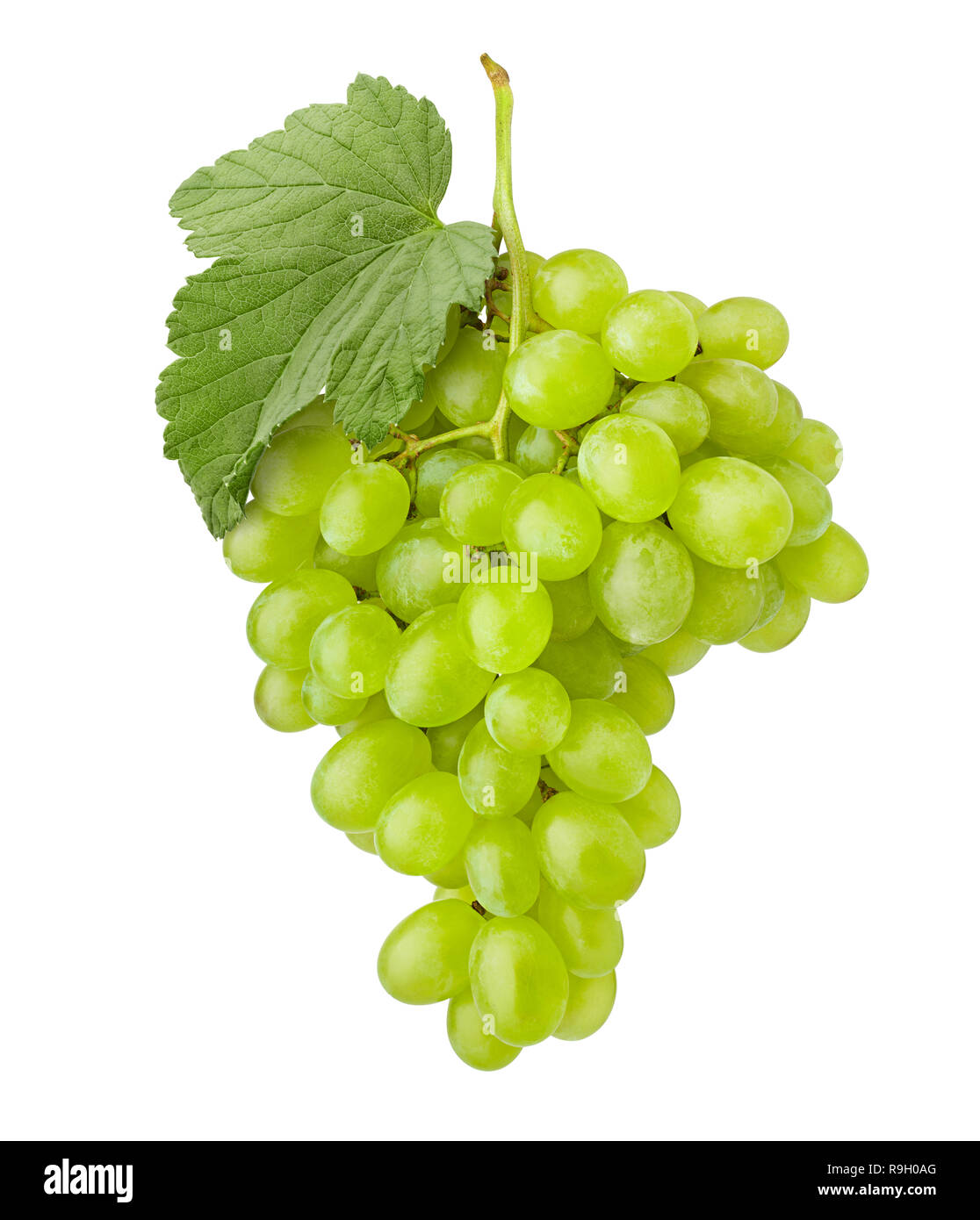 Green grape, isolated on white background, clipping path, full depth of ...